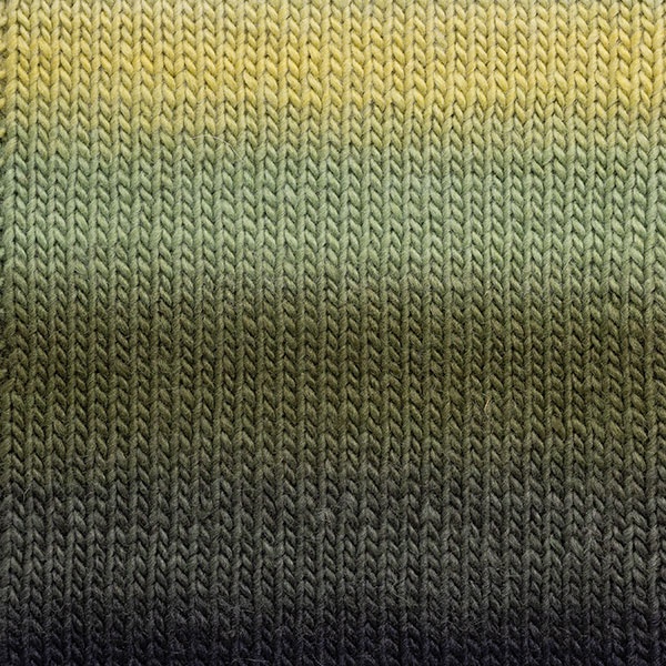 Reindeer Moss Chroma worsted Yarn - Shop Quality Knitting Supplies ...