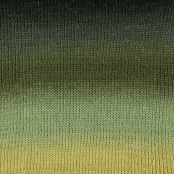 Reindeer Moss Chroma Fingering Yarn - Shop Quality Knitting Supplies ...