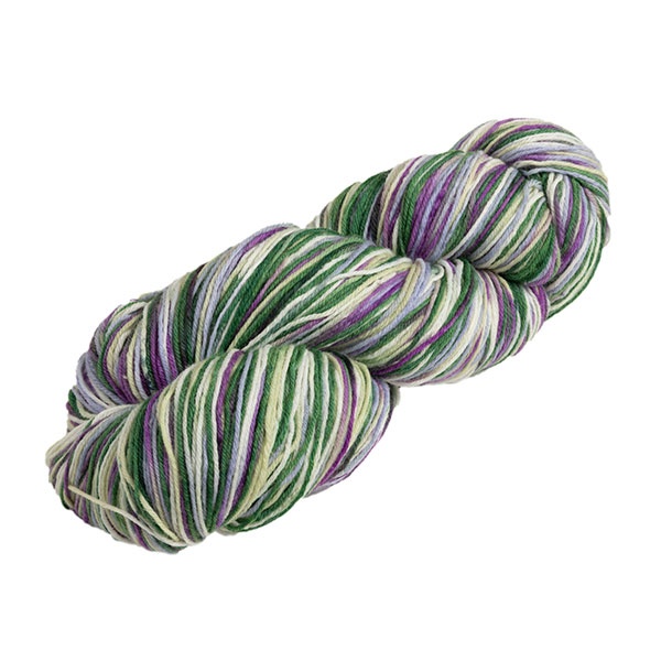 Posies Hand Paint – Stroll Fingering Yarn