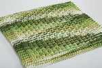 Cryptodira Dishcloth - Premium Knitting Supplies | KnitPicks