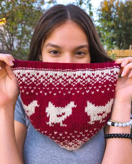 Free Knitted Chicken Pattern Cozy Chicken Cowl Knitting Pattern