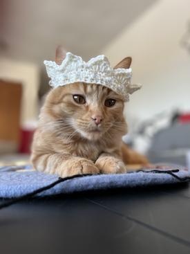 Maybelline's Cat Crown | Crochet.com