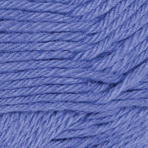 Chicory Yarn - Soft Blue Tone